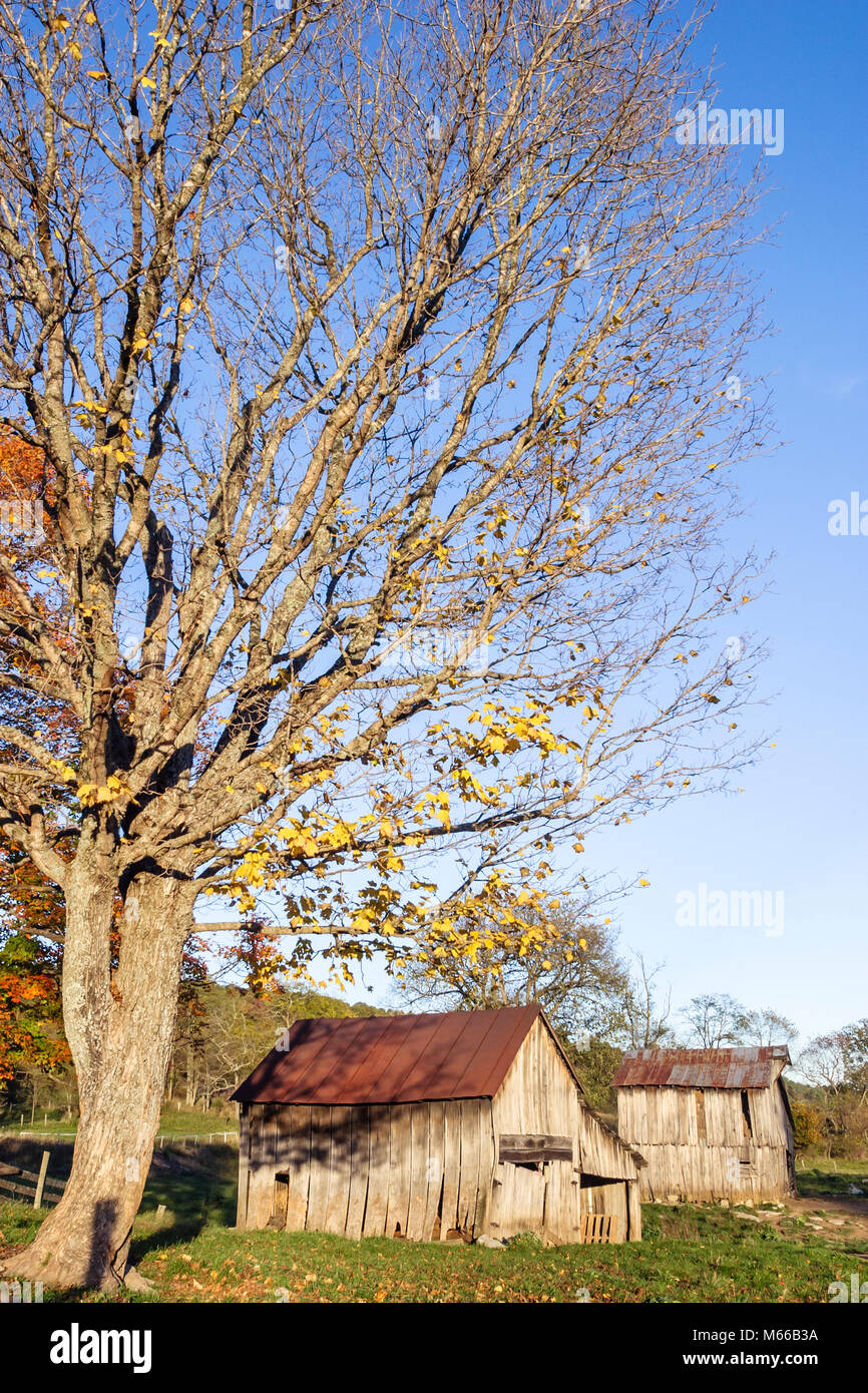West Virginia,Appalachia Greenbrier County,Frankford,rural lifestyle ...