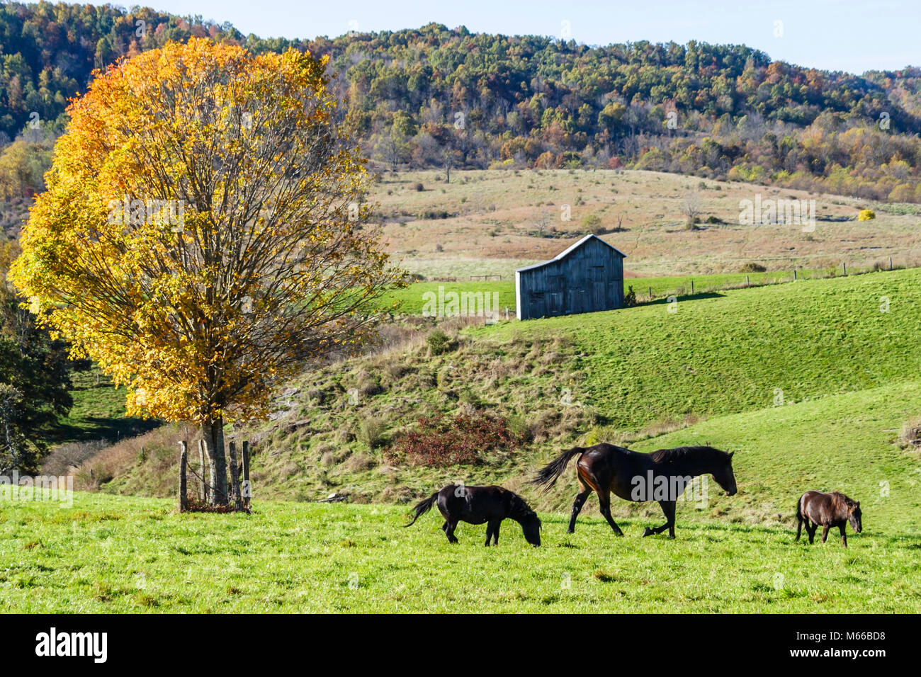 West Virginia,Appalachia Greenbrier County,Frankford,rural lifestyle ...