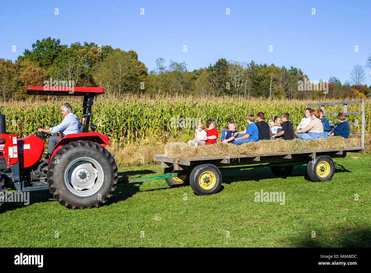 Tractor Hayride