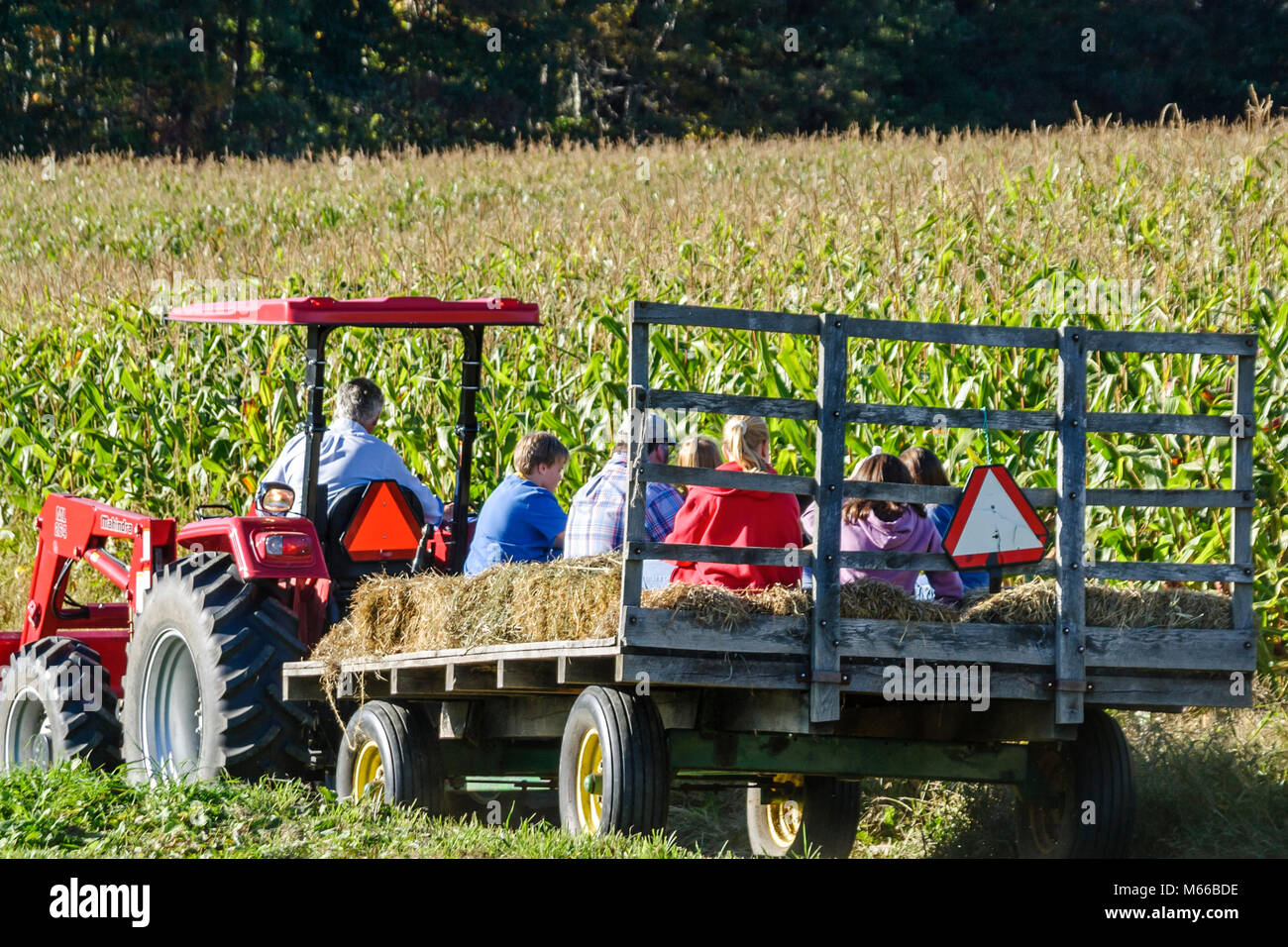 Hay Ride