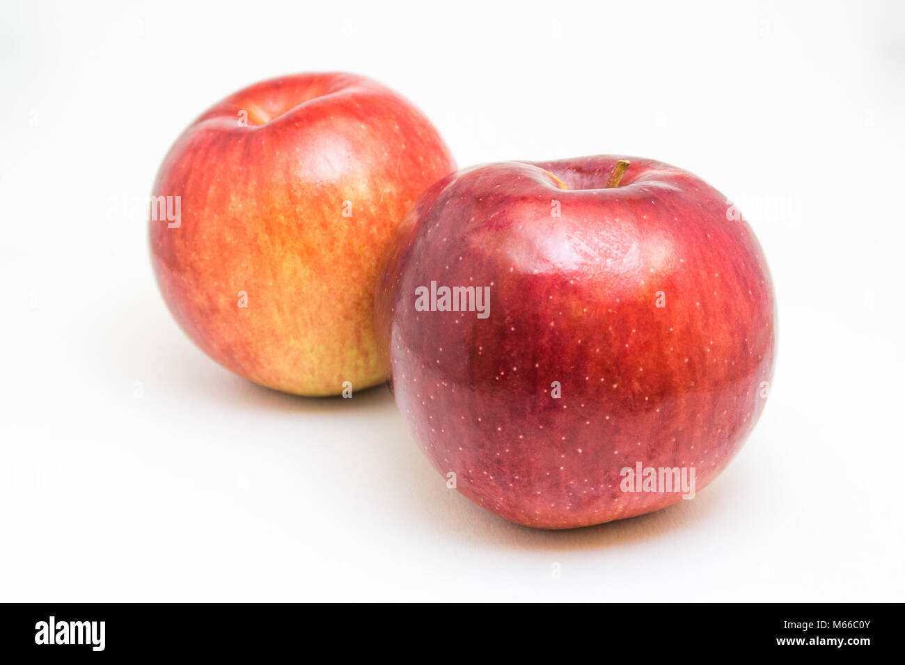 Two red apples isolated on white, focus on the first one with bright ...
