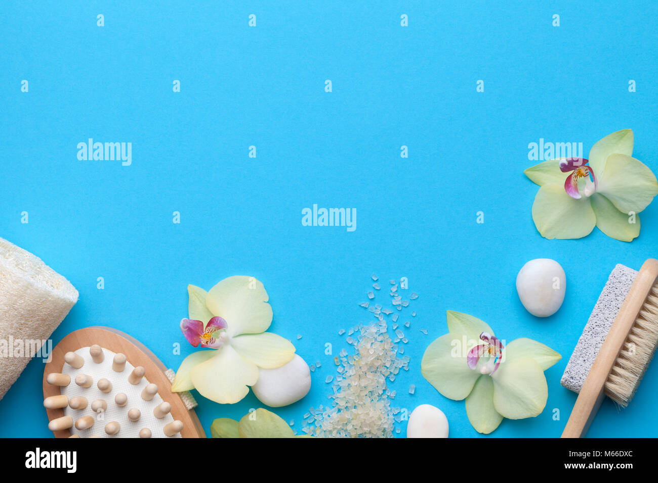 Spa composition for body care on blue background. Copy space. Top view ...