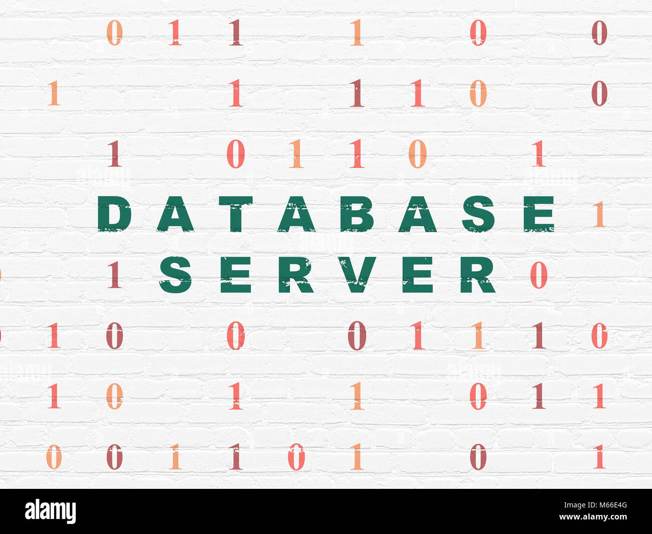 Programming concept: Database Server on wall background Stock Photo - Alamy