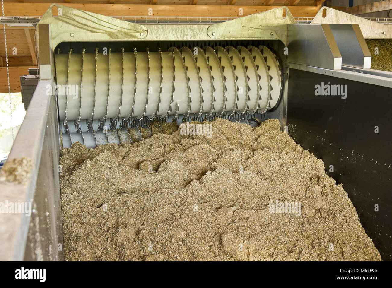 Cattle fattening 56 Stock Photo - Alamy