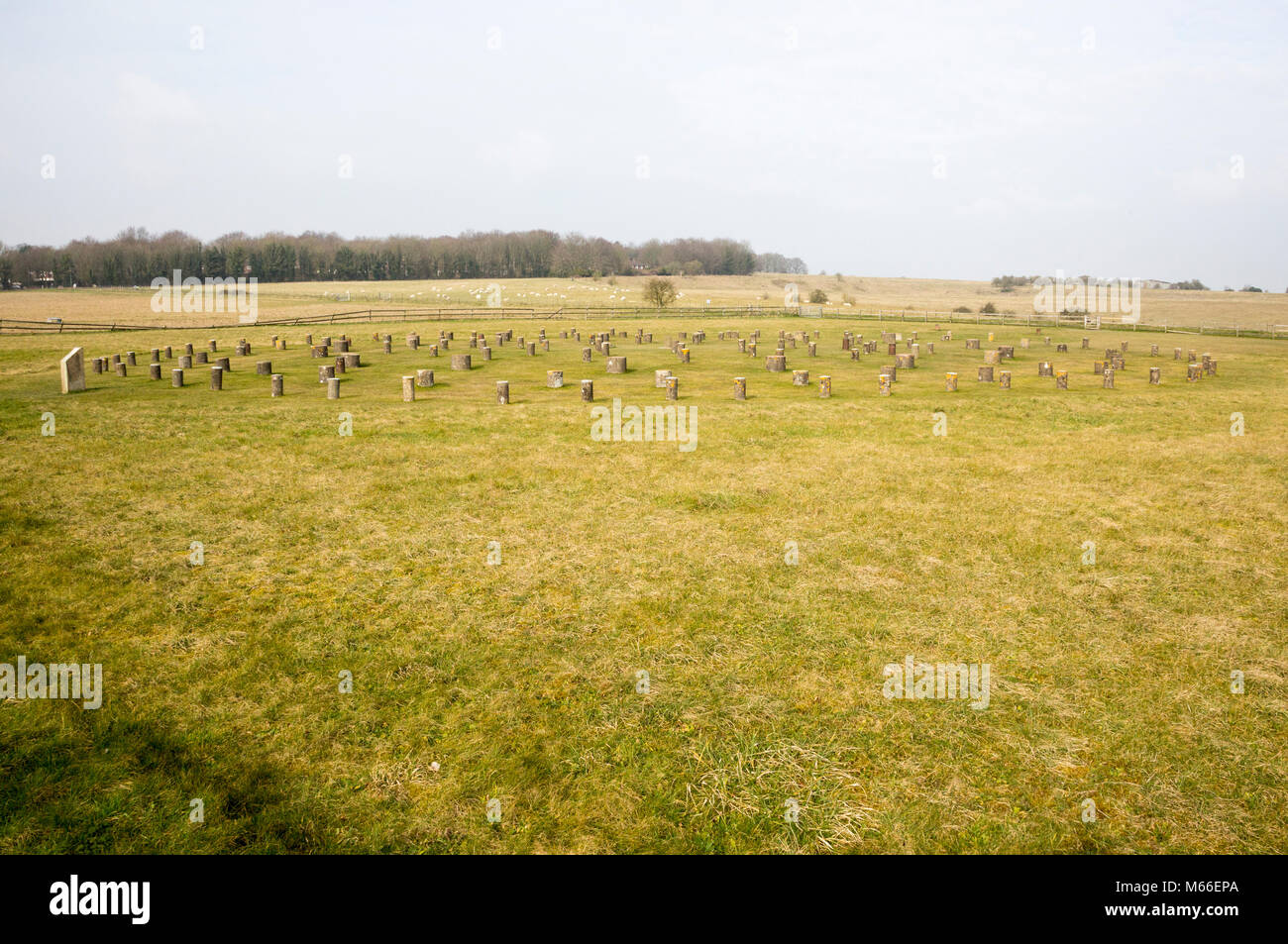 Woodhenge neolithic prehistoric henge site, near Amesbury, Wiltshire ...