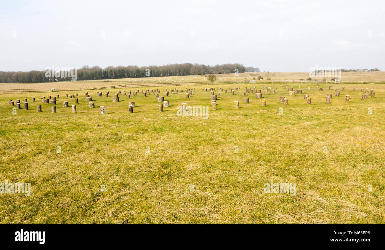 Woodhenge neolithic prehistoric henge site, near Amesbury, Wiltshire ...
