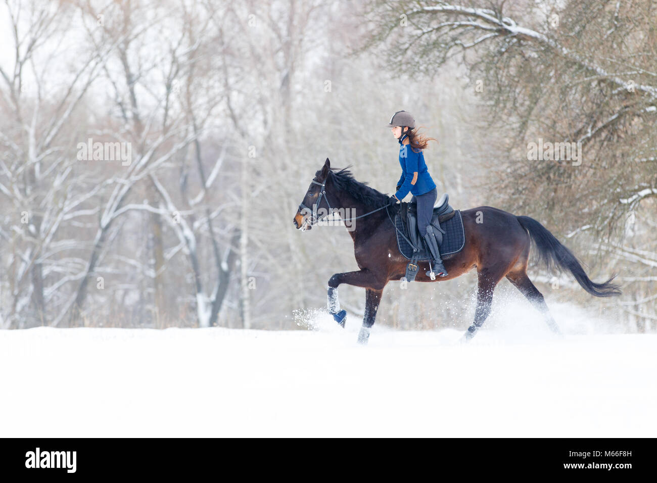 Young rider girl on bay horse galloping in winter. Equestrian winter ...