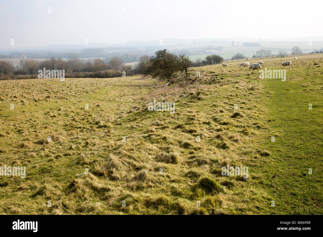 Durrington walls neolithic settlement wiltshire hi-res stock ...