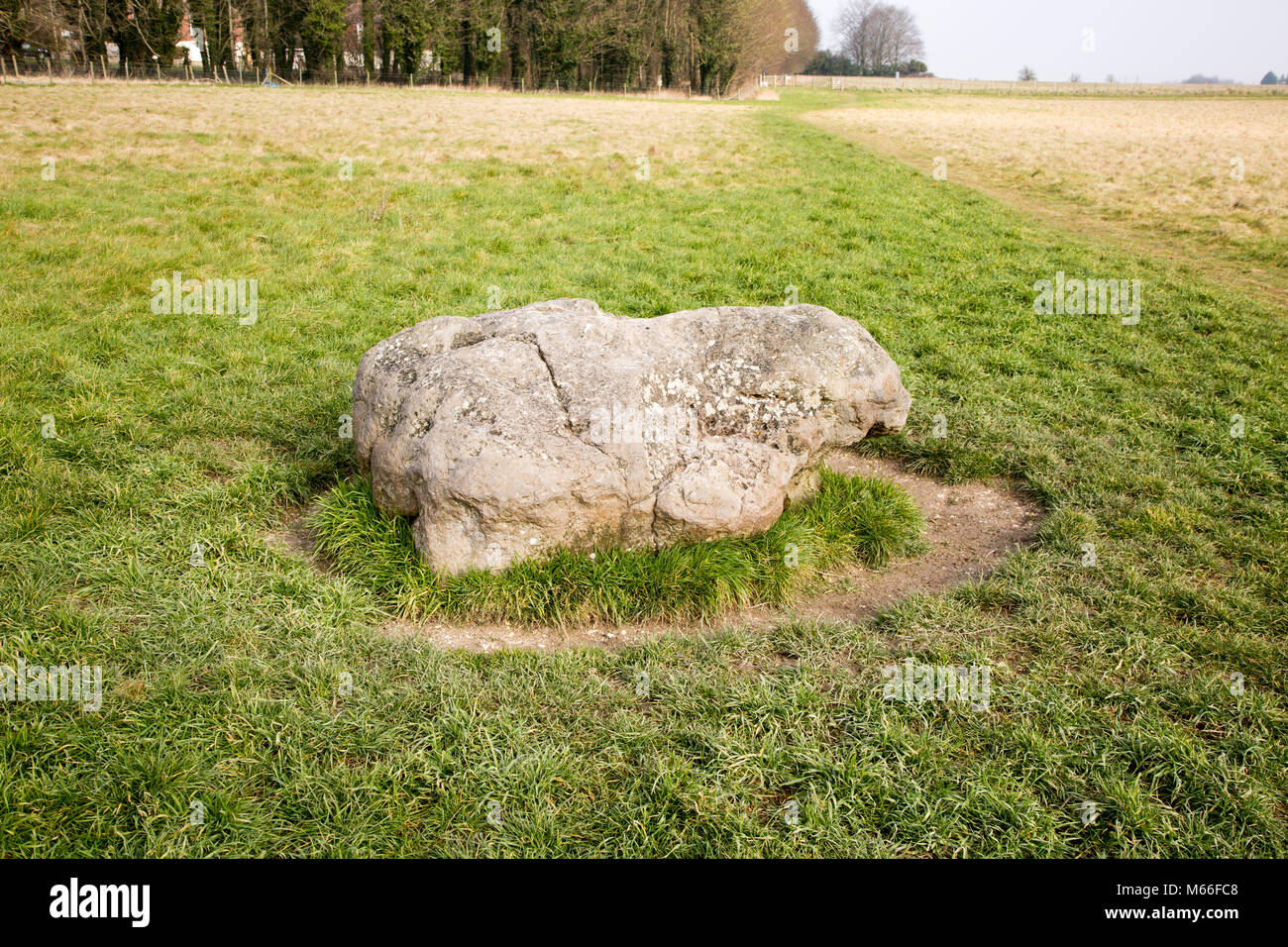 Prehistoric former standing sarsen stone, the Cuckoo Stone, Durrington ...