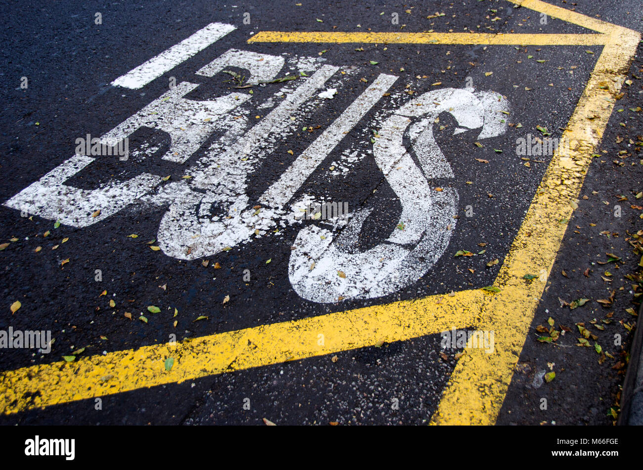 Bus writing hi-res stock photography and images - Alamy
