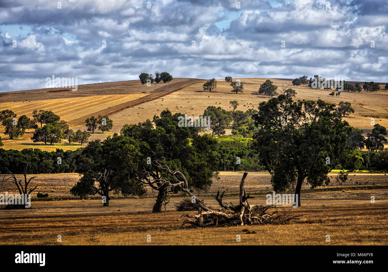 Rural landscape, Gin Gin, Queensland, Australia Stock Photo - Alamy