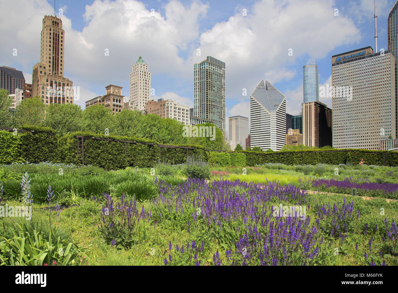 the maggie daley park chicago Illinois Stock Photo - Alamy