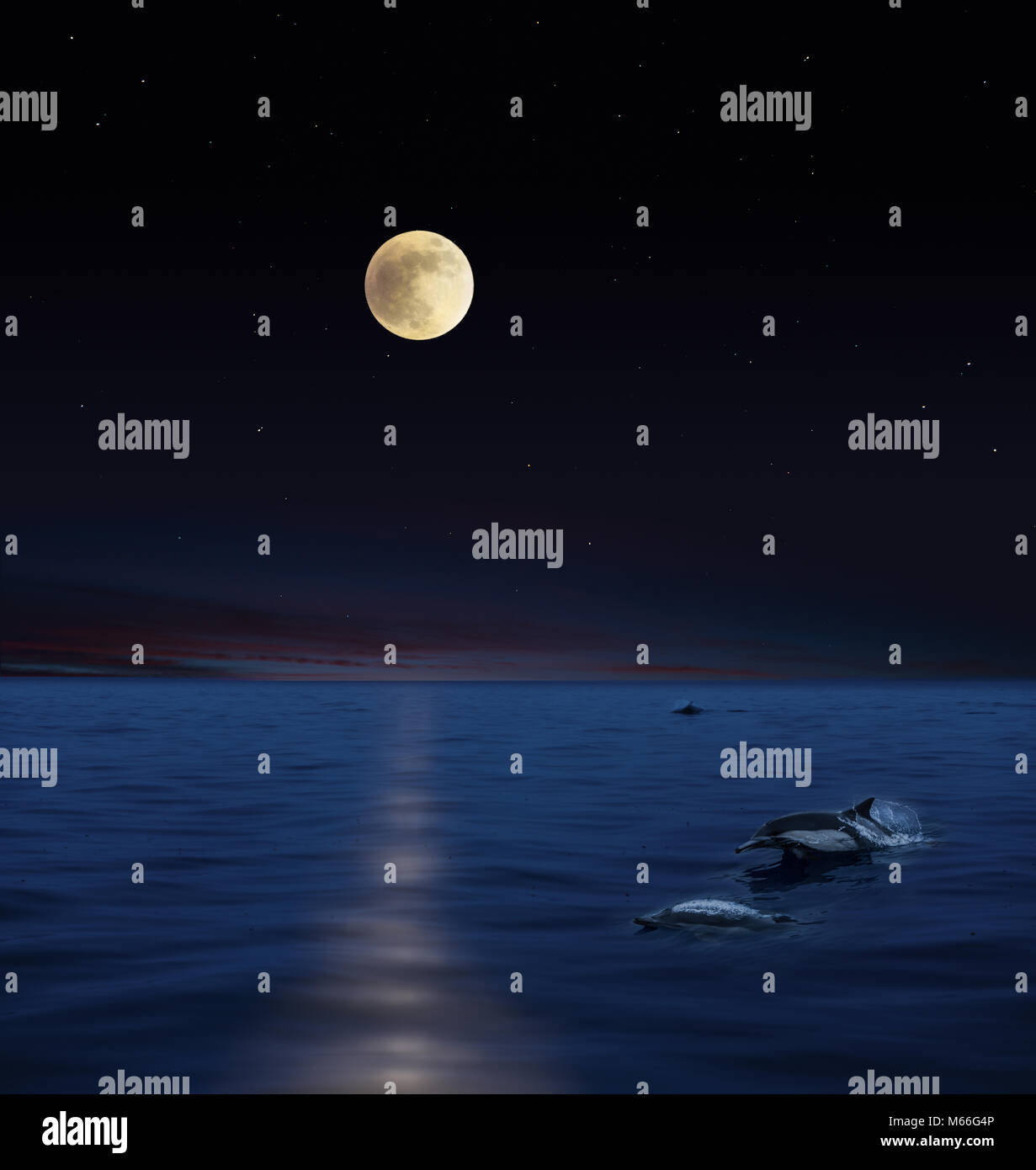 Swimming scene moonlight hi-res stock photography and images - Alamy