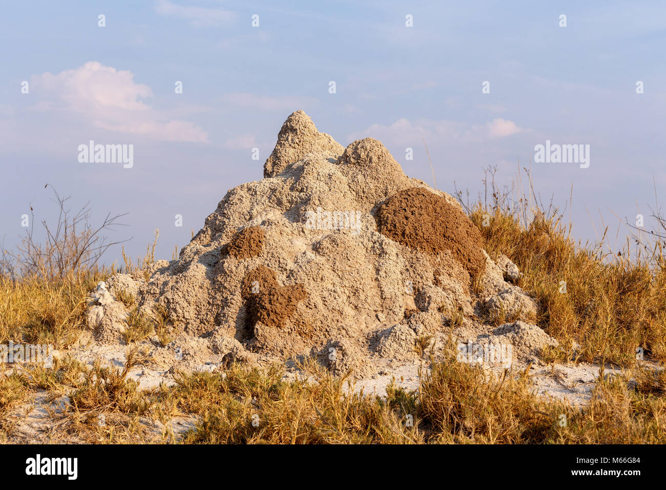 termite mound in Africa, Etosha national park Namibia Stock Photo - Alamy