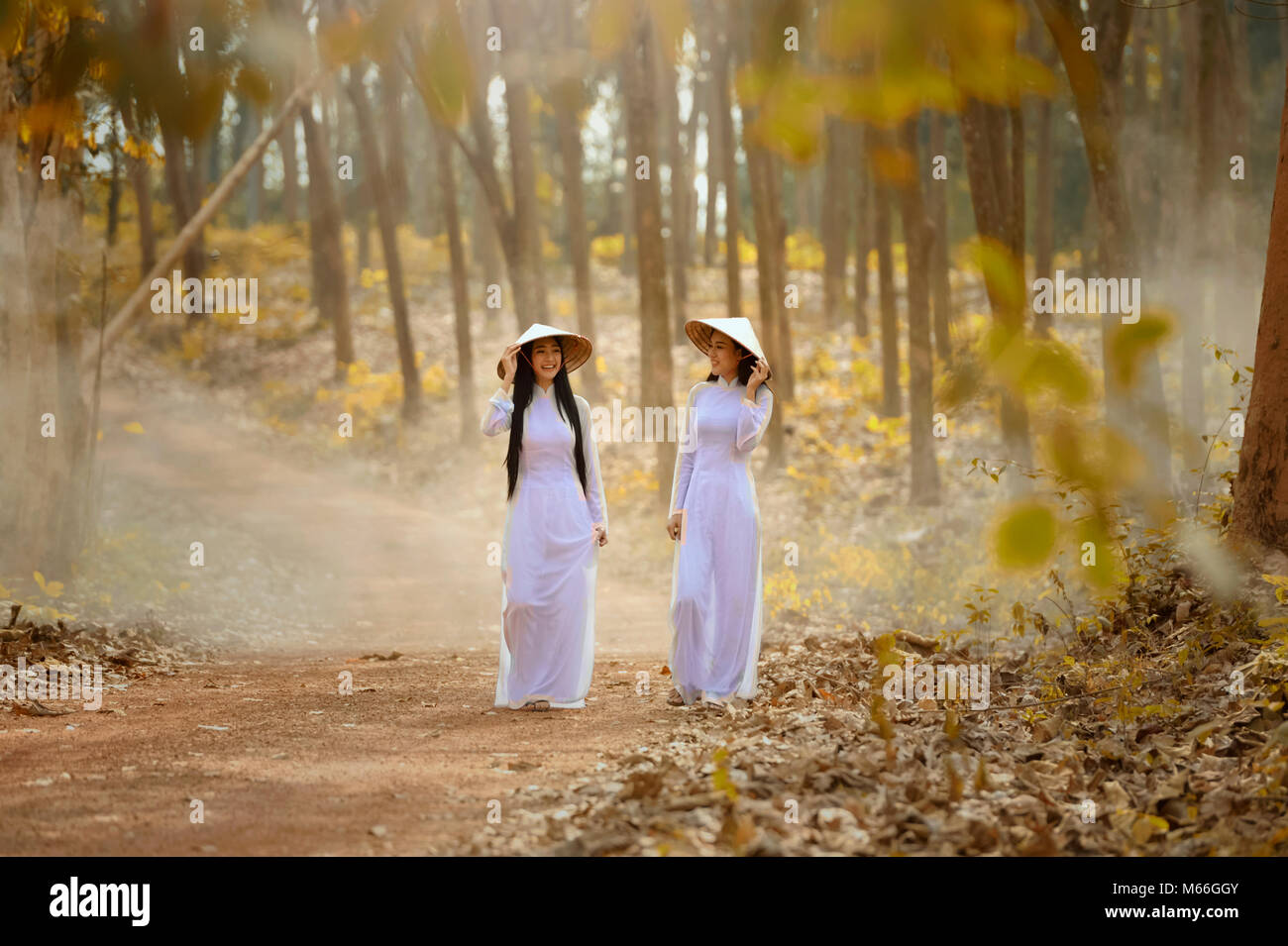 Beautiful view along road hi-res stock photography and images - Alamy