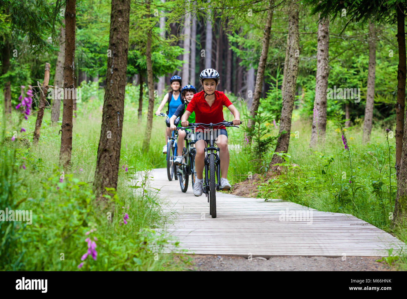 Active family biking Stock Photo - Alamy