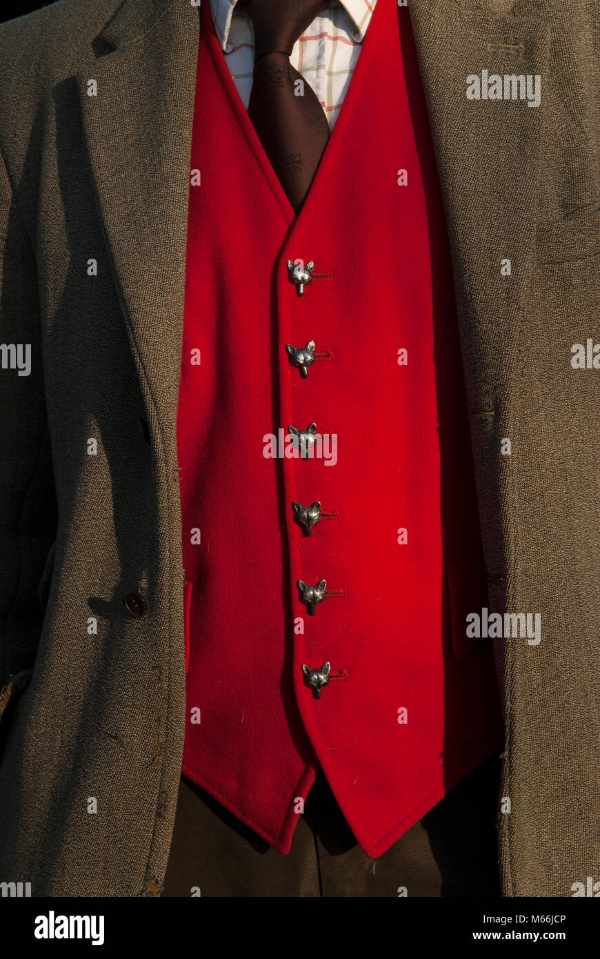 Red waistcoat with fox head buttons fox hunting the Lake District ...