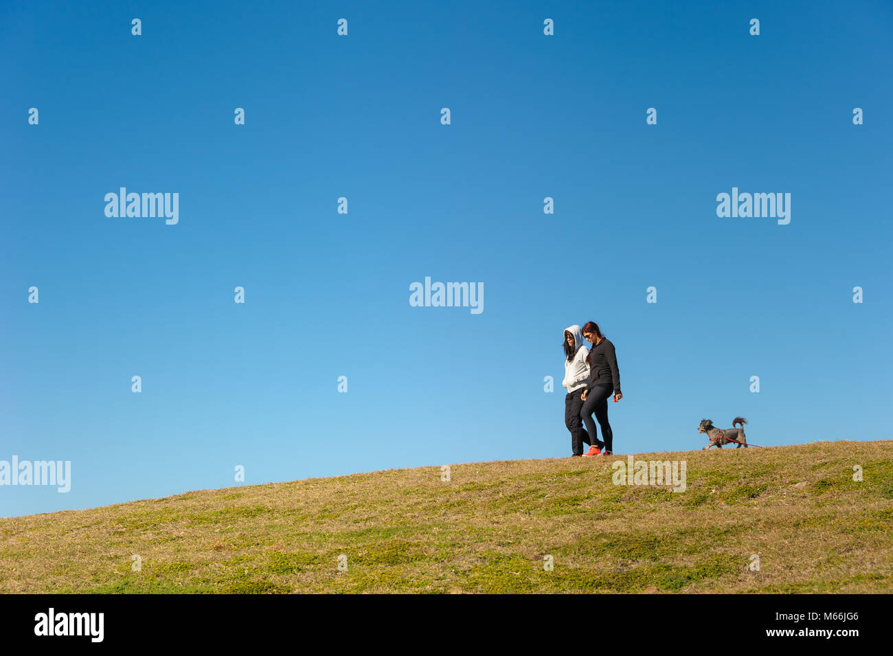 Women with a dog hi-res stock photography and images - Alamy