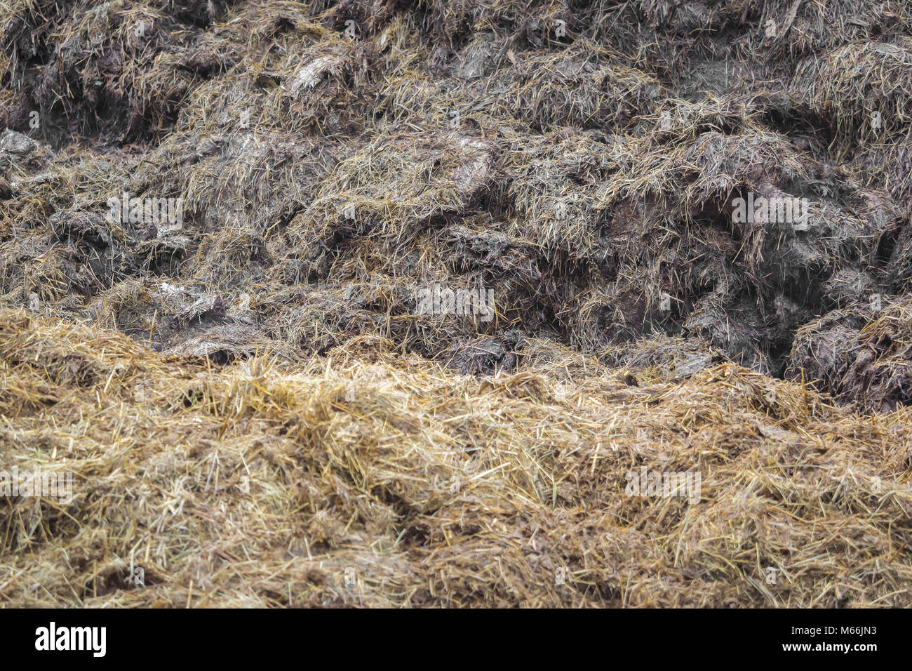 Dung heap on farm hi-res stock photography and images - Alamy