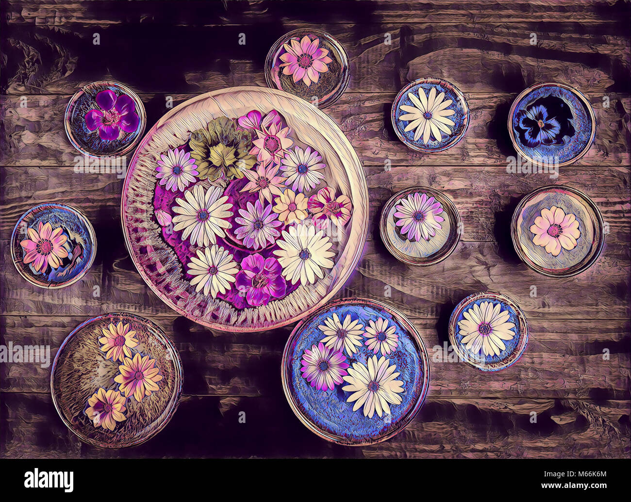 Beautiful drawing of colorful flowers floating in water Stock Photo - Alamy