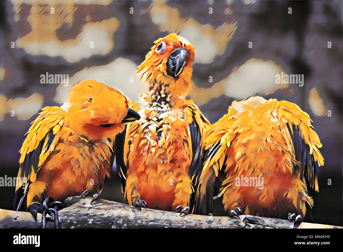 Tipos De Loros Conure Brown Throated Parakeet Wikipedia