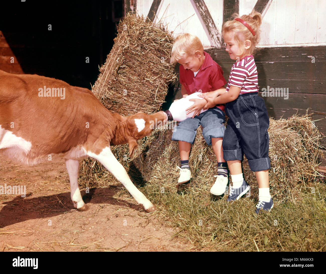 1960s TWO FARM CHILDREN IN BARNYARD BLOND BOY GIRL BROTHER SISTER ...
