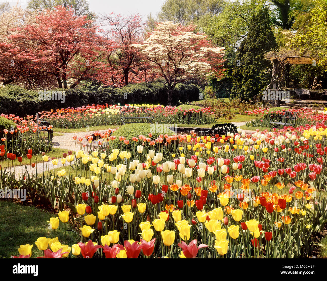 Riotous growth hi-res stock photography and images - Alamy