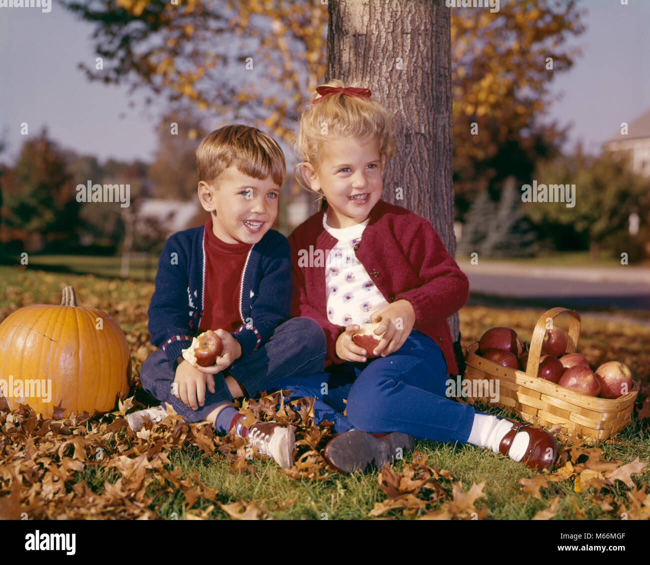 Joyful person sitting under tree hi-res stock photography and images ...