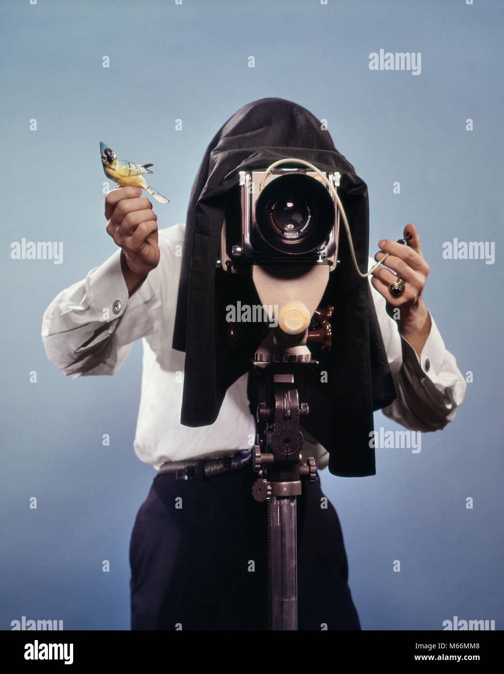 Watch the birdie hi-res stock photography and images - Alamy