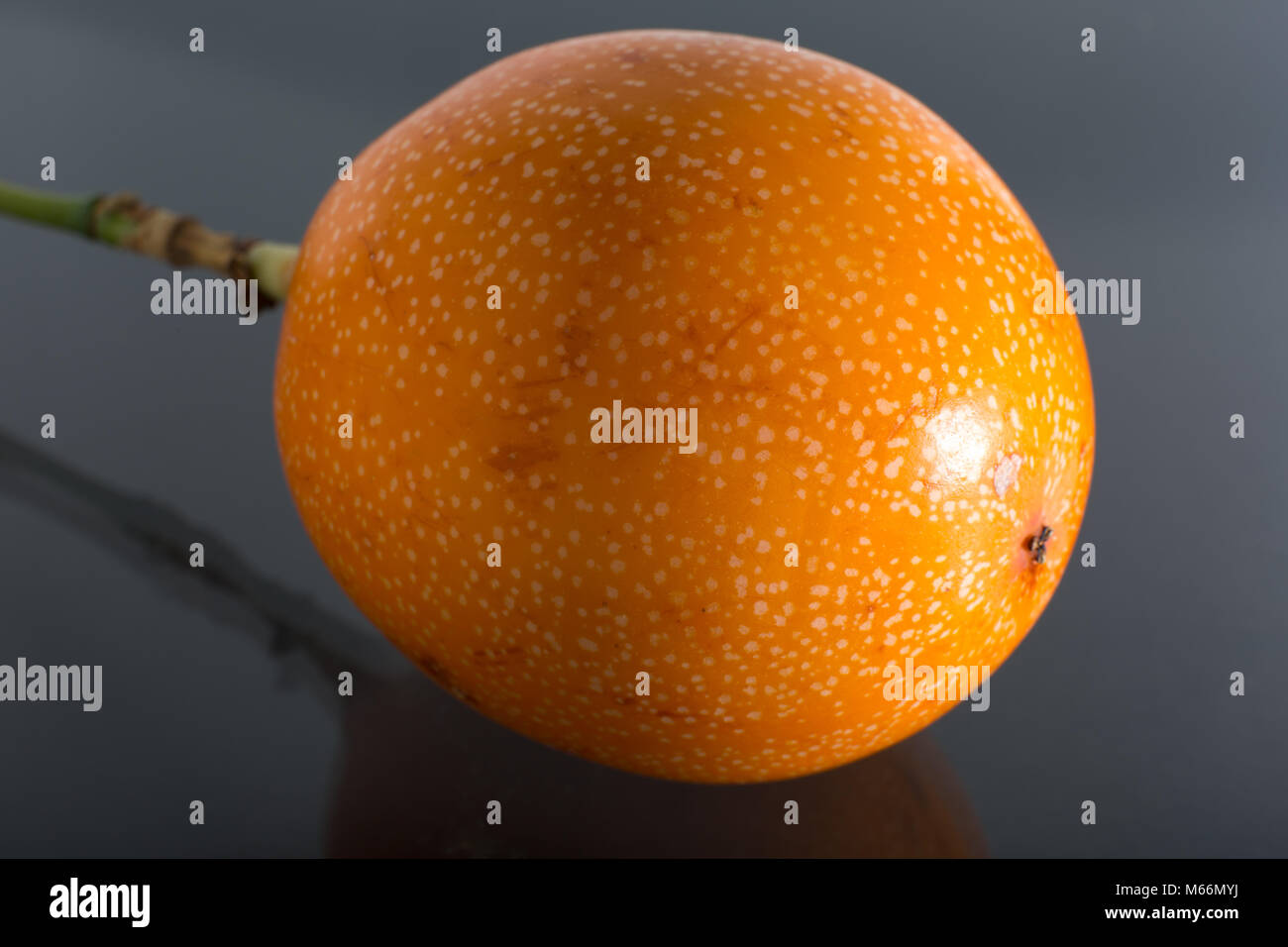 granadilla fruit closeup Stock Photo - Alamy