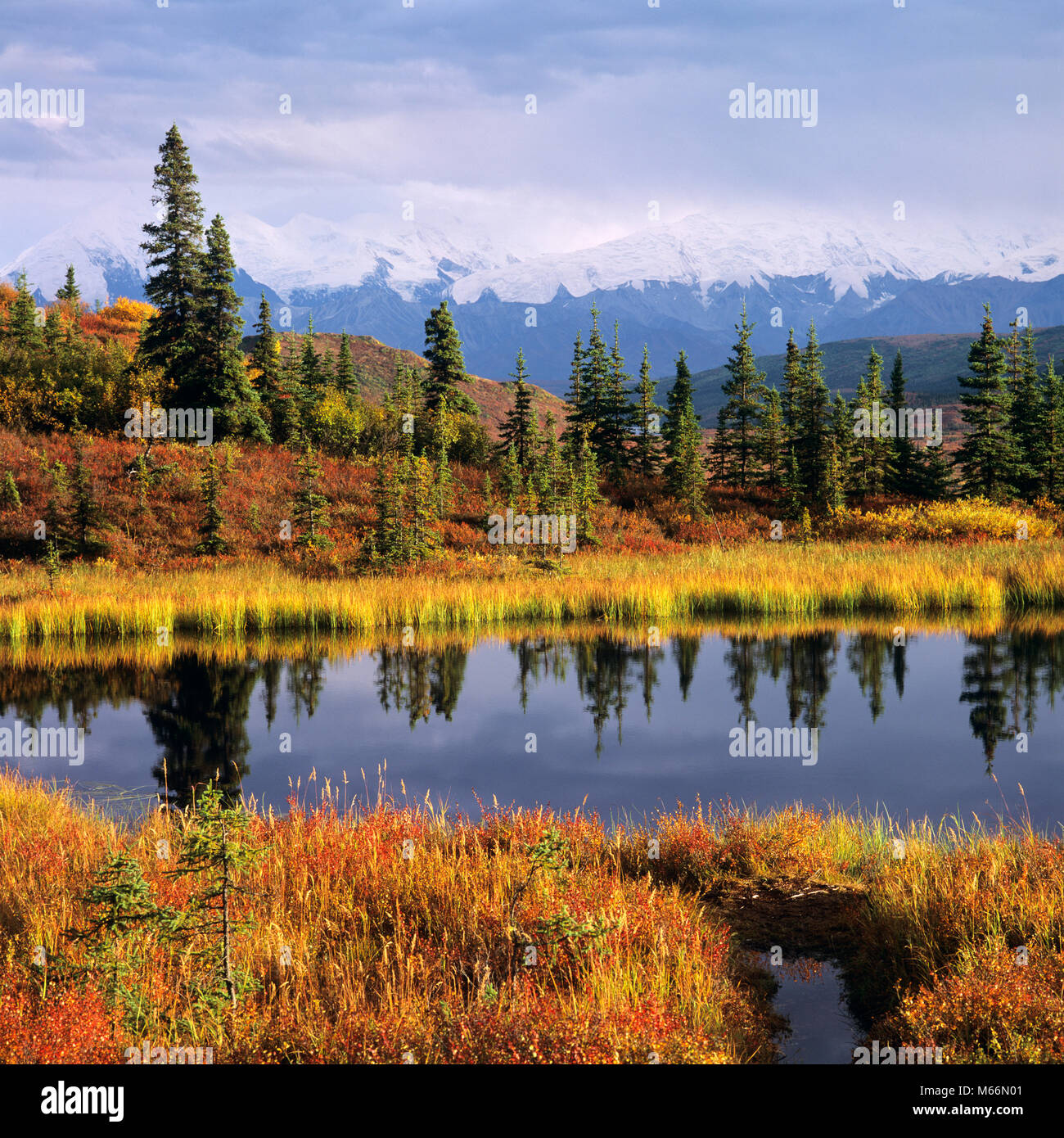 NYMPH LAKE AND CLOUD SHROUDED SNOW CAPPED ALASKA RANGE AT SUNSET DENALI ...