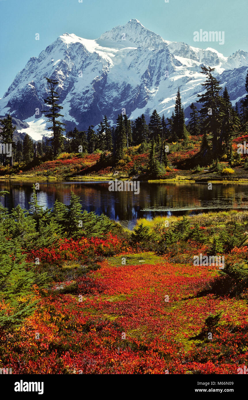 AUTUMN IN HEATHER MEADOWS SUMMIT PYRAMID MOUNT SHUKSAN NORTH CASCADES ...