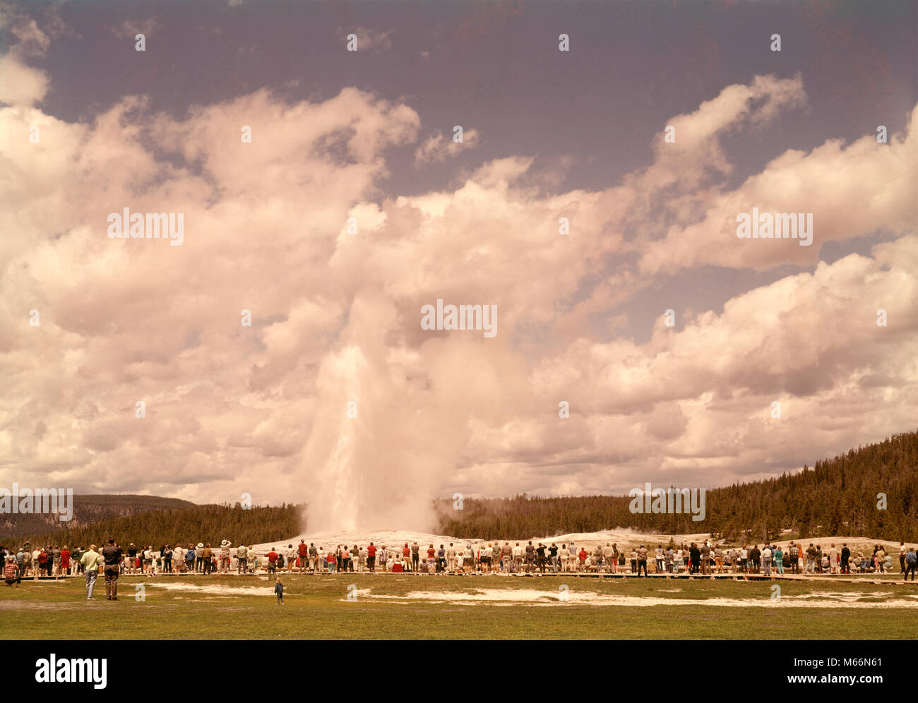 Yellowstone expedition hi-res stock photography and images - Alamy