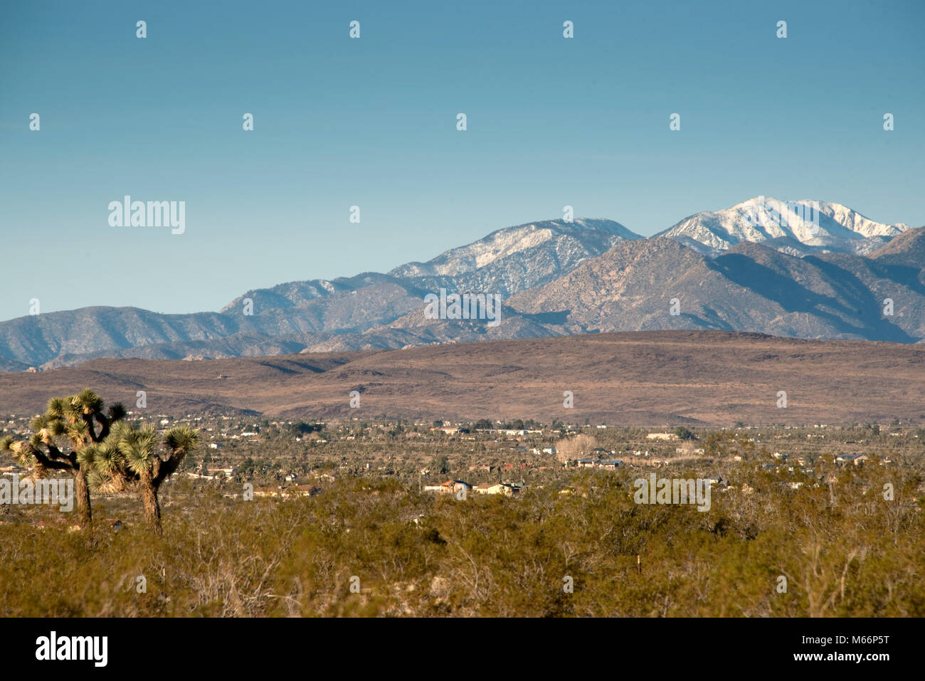 Joshua trees mountain range hi-res stock photography and images - Alamy