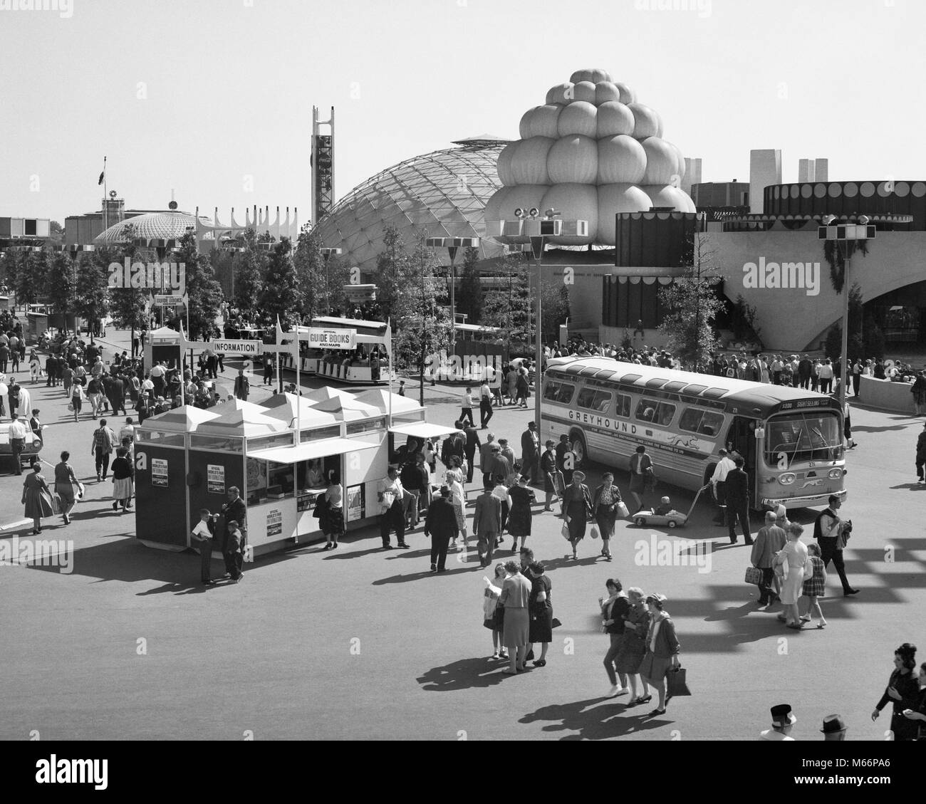 New york buses Black and White Stock Photos & Images - Alamy