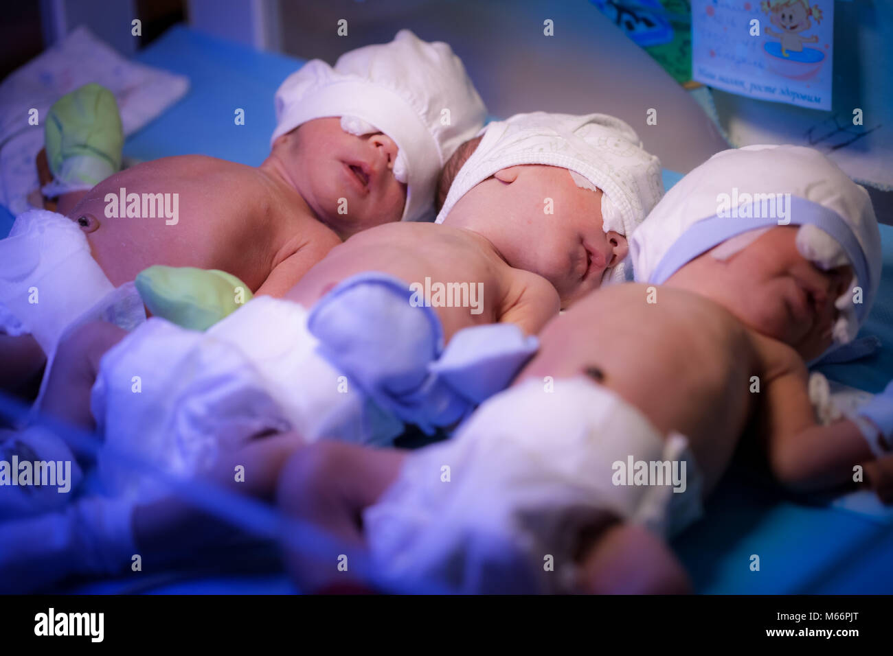 Newborn triplets baby are under the device with ultraviolet radiation ...