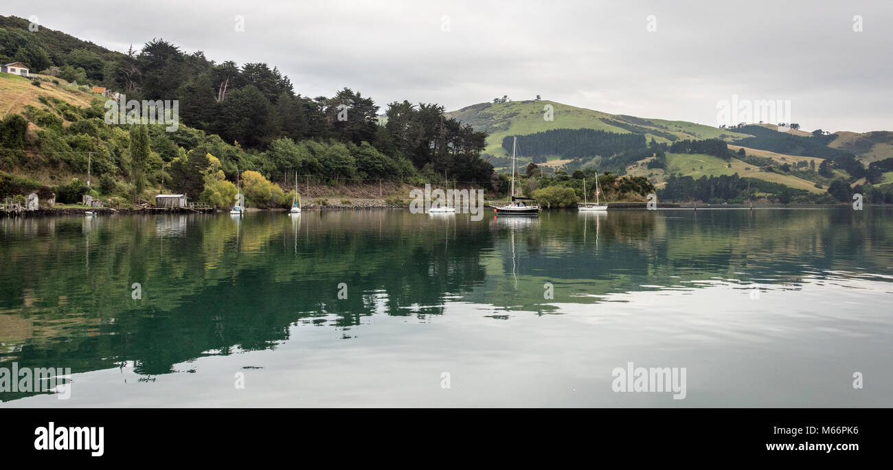Dunedin Harbour Scene, South Island, New Zealand Stock Photo - Alamy