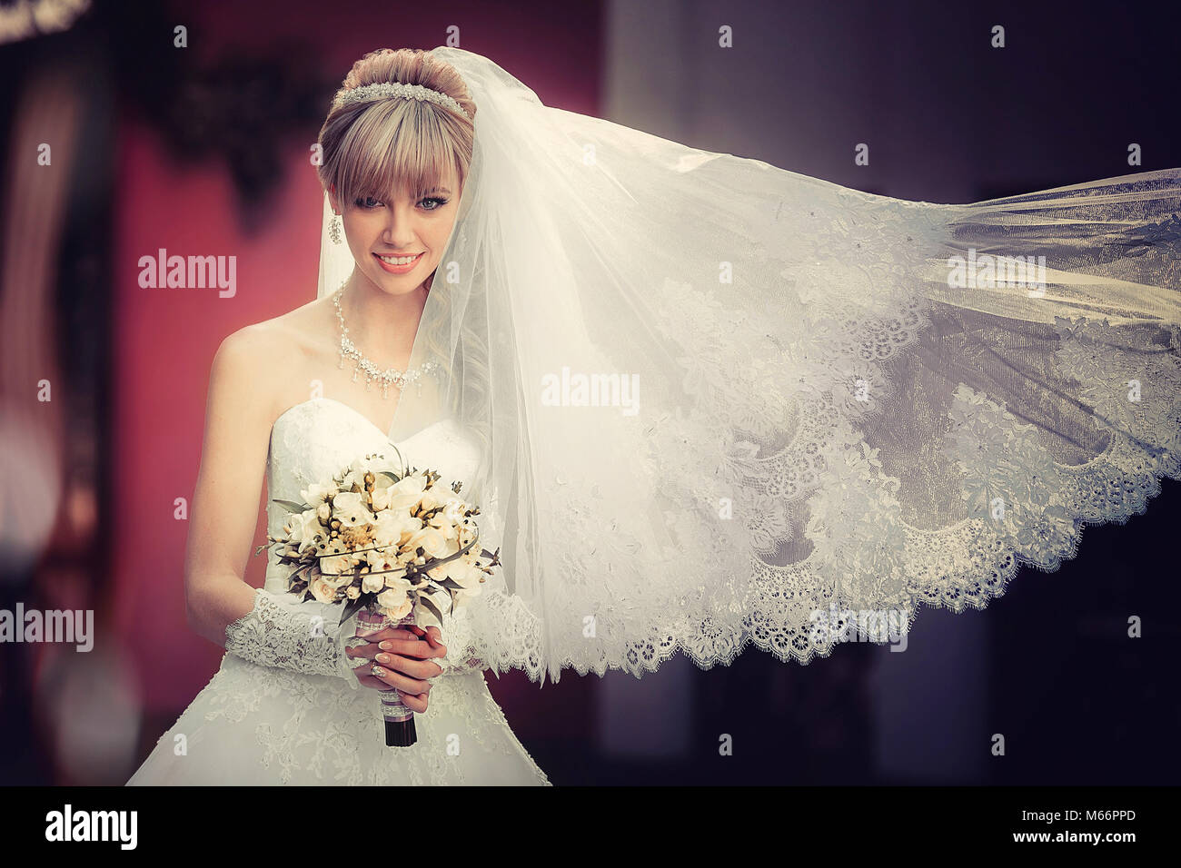 Portrait roses hi-res stock photography and images - Alamy