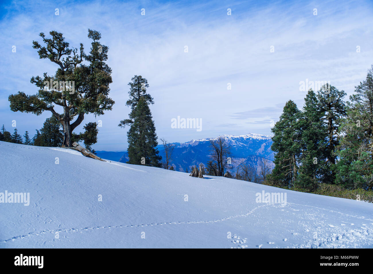 Trekking in winter at Himalaya, Kedarkantha summit, Sankari, North ...