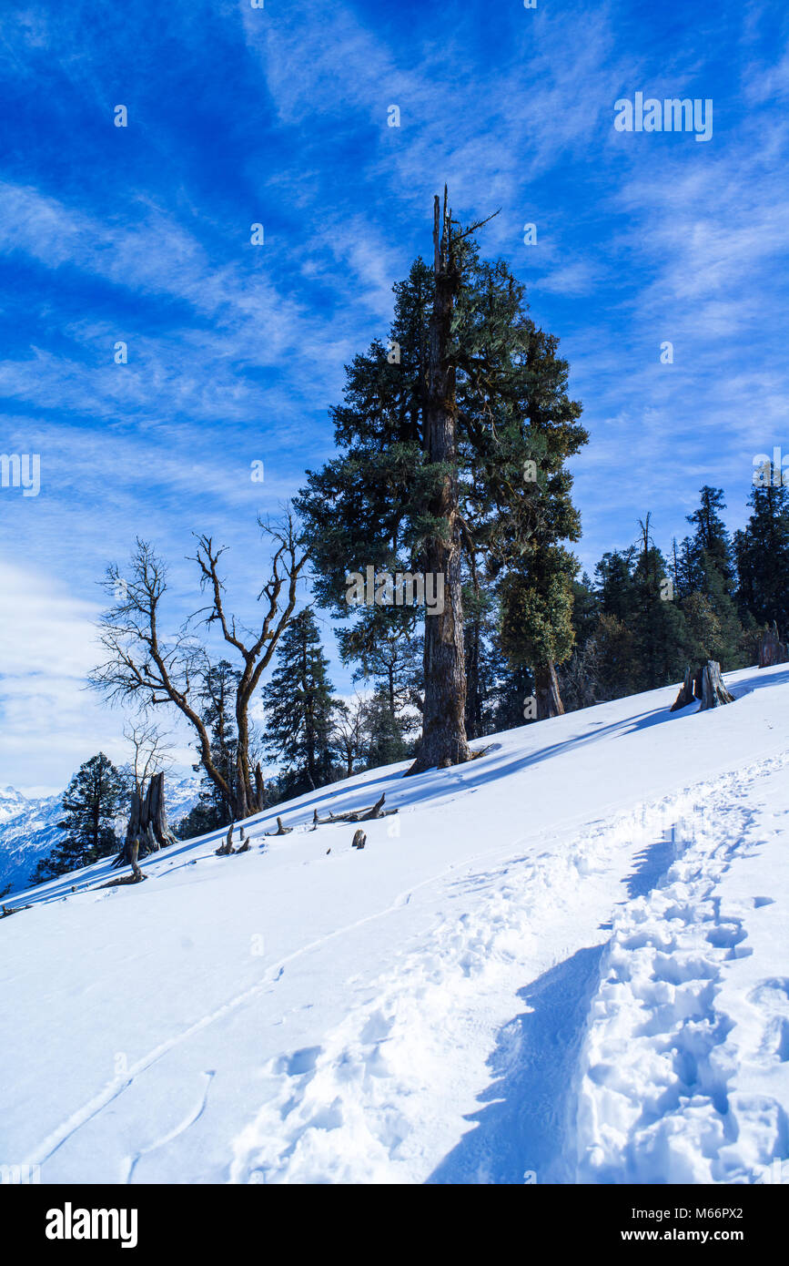 Trekking in winter at Himalaya, Kedarkantha summit, Sankari, North ...