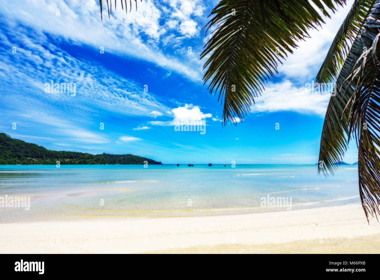 amazing beautiful lagoon with boats in turquoise water behind palm ...
