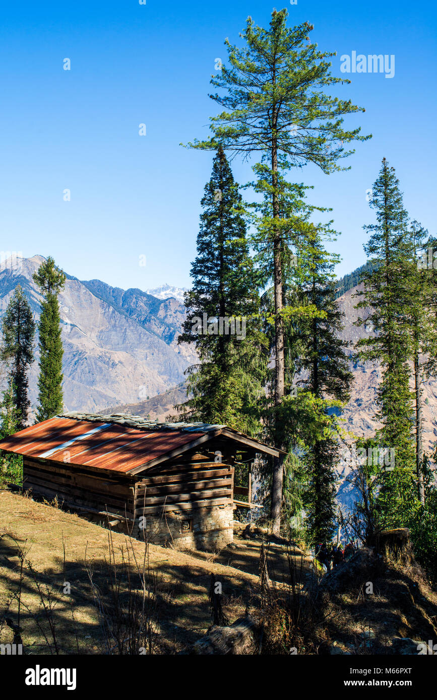 Trekking in winter at Himalaya, Kedarkantha summit, Sankari, North ...