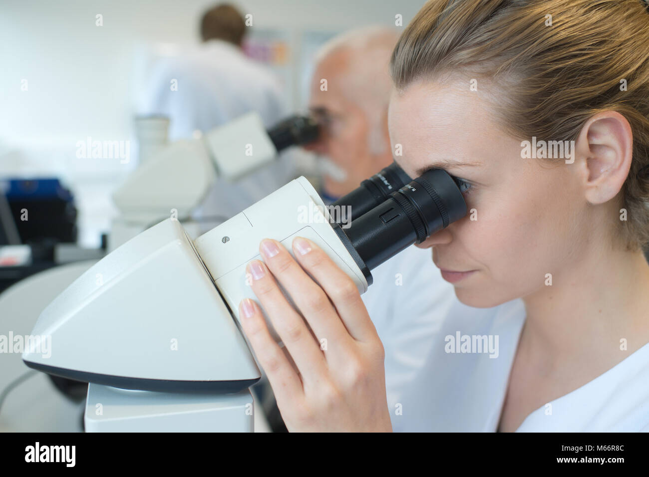 laboratory technicians doing research Stock Photo - Alamy