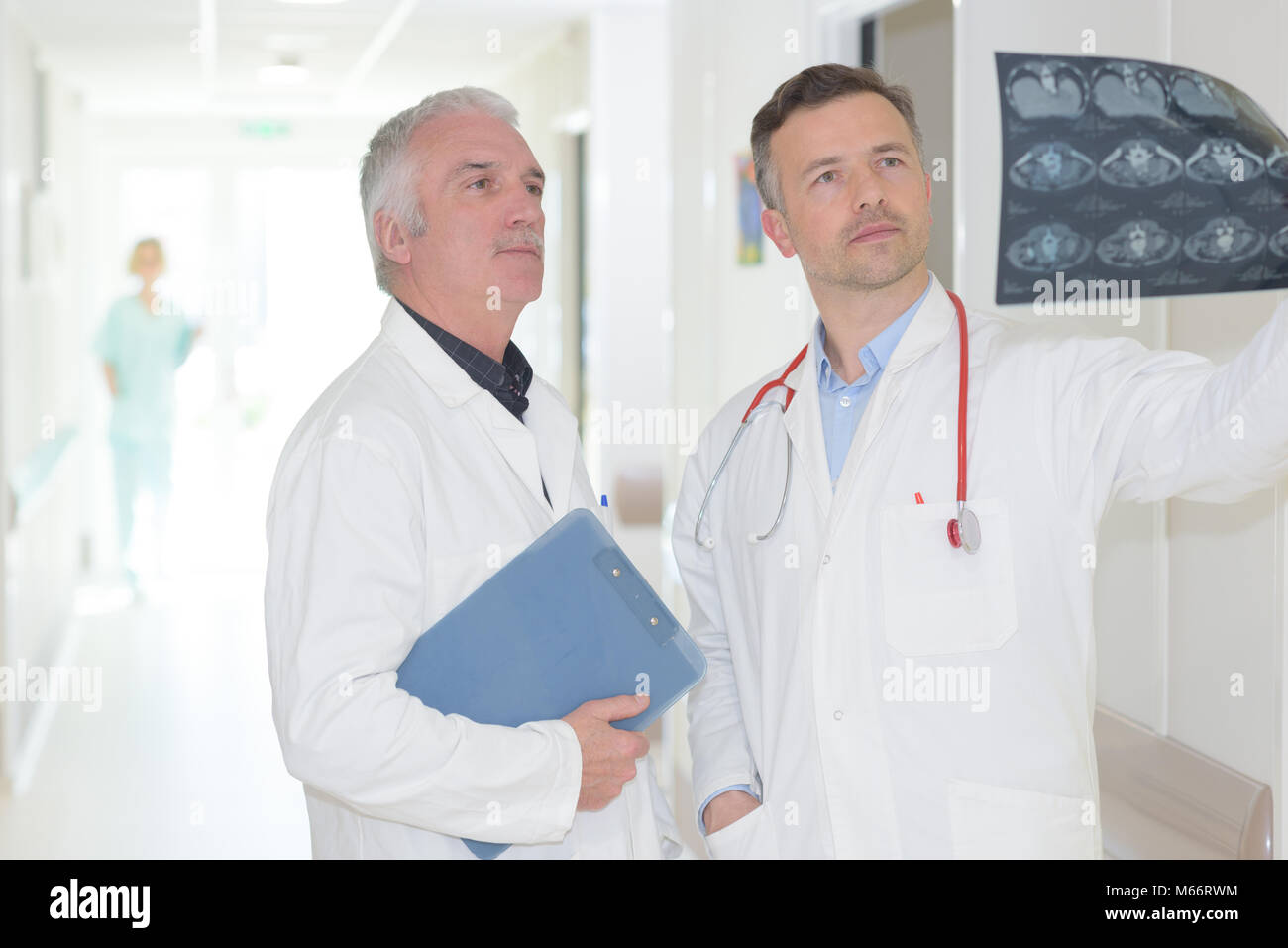 Two doctor hold xray hi-res stock photography and images - Alamy