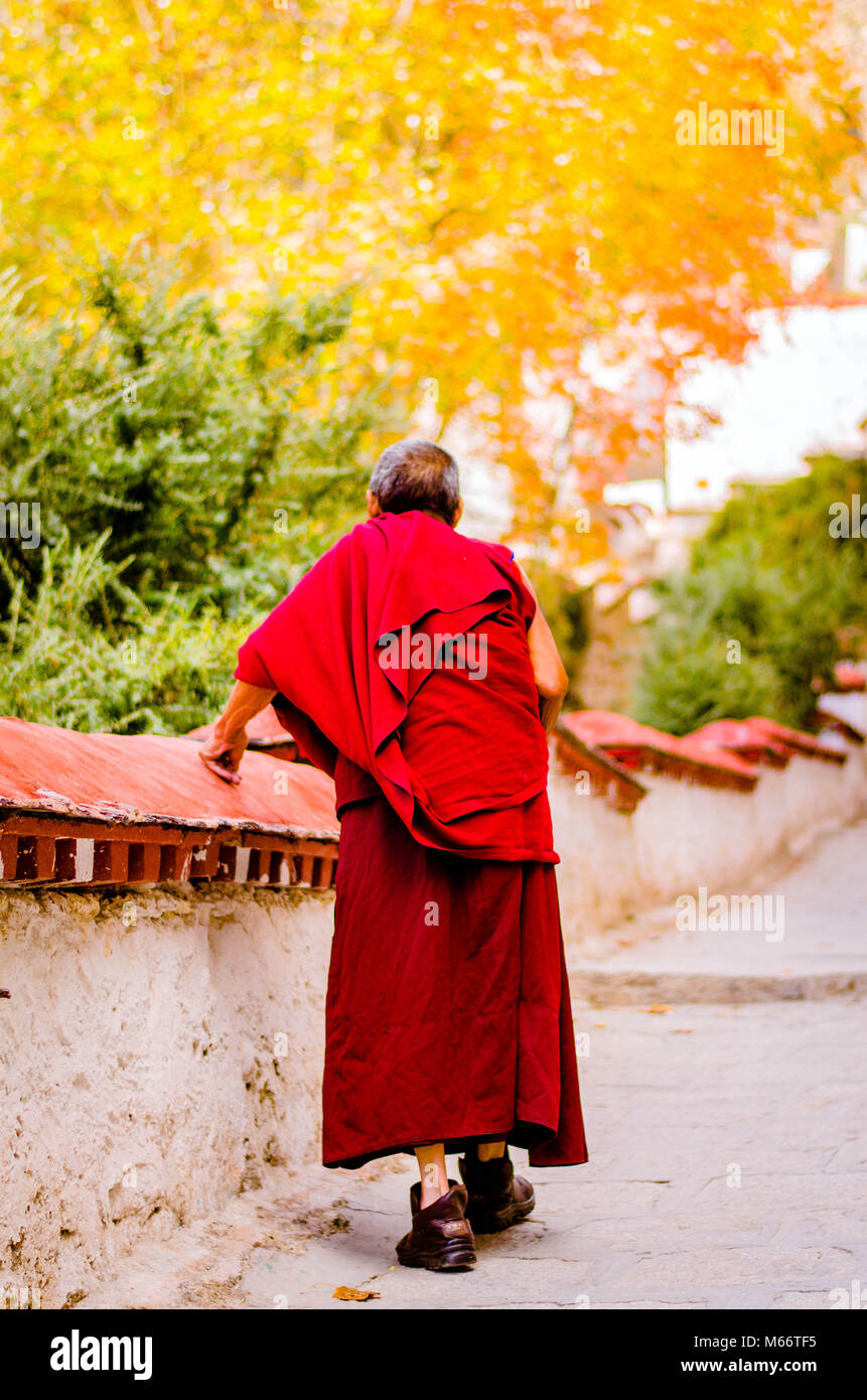 Tibetan Monk in red robe Stock Photo - Alamy