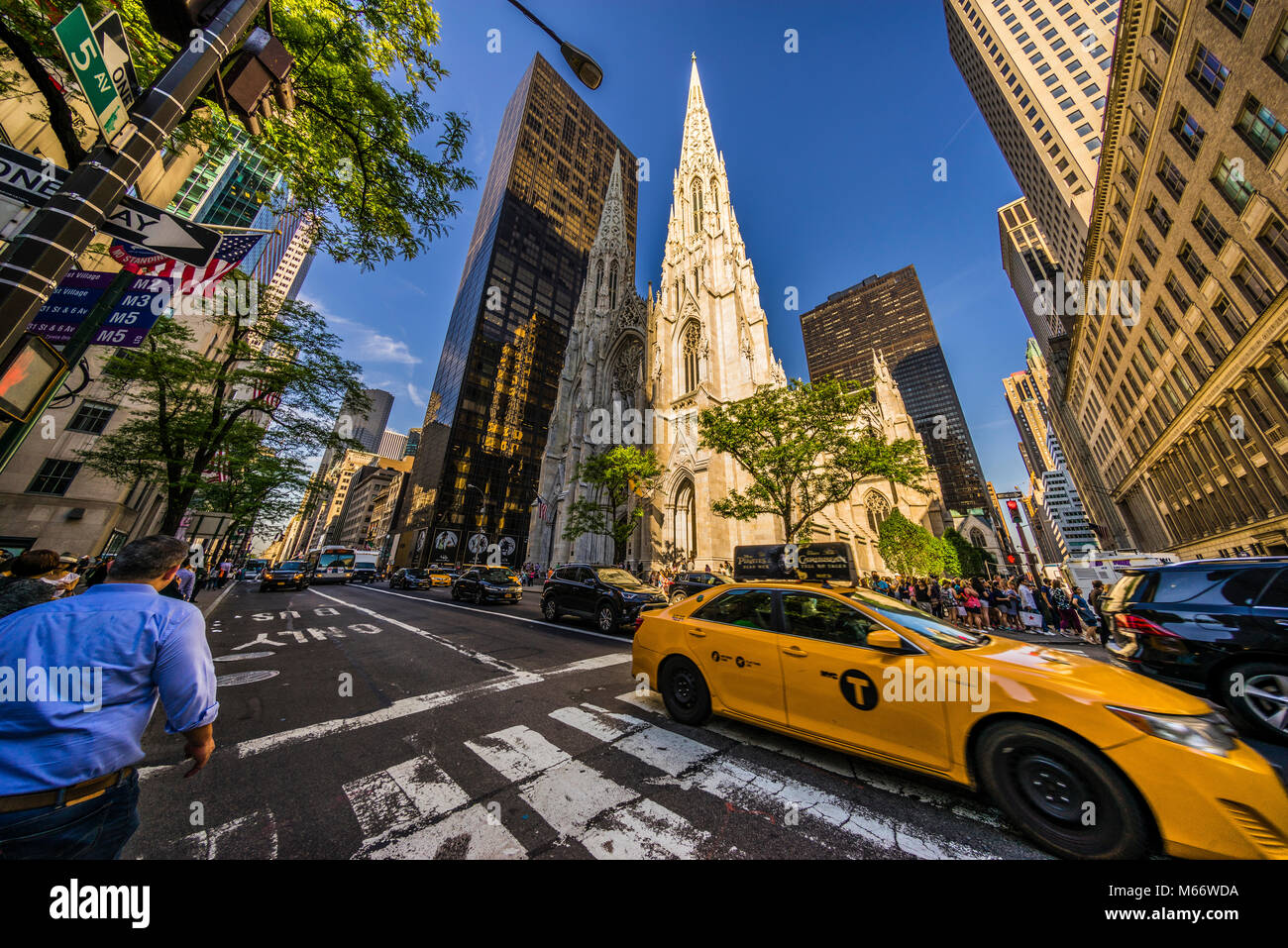 St. Patrick's Cathedral Manhattan New York, New York, USA Stock Photo ...