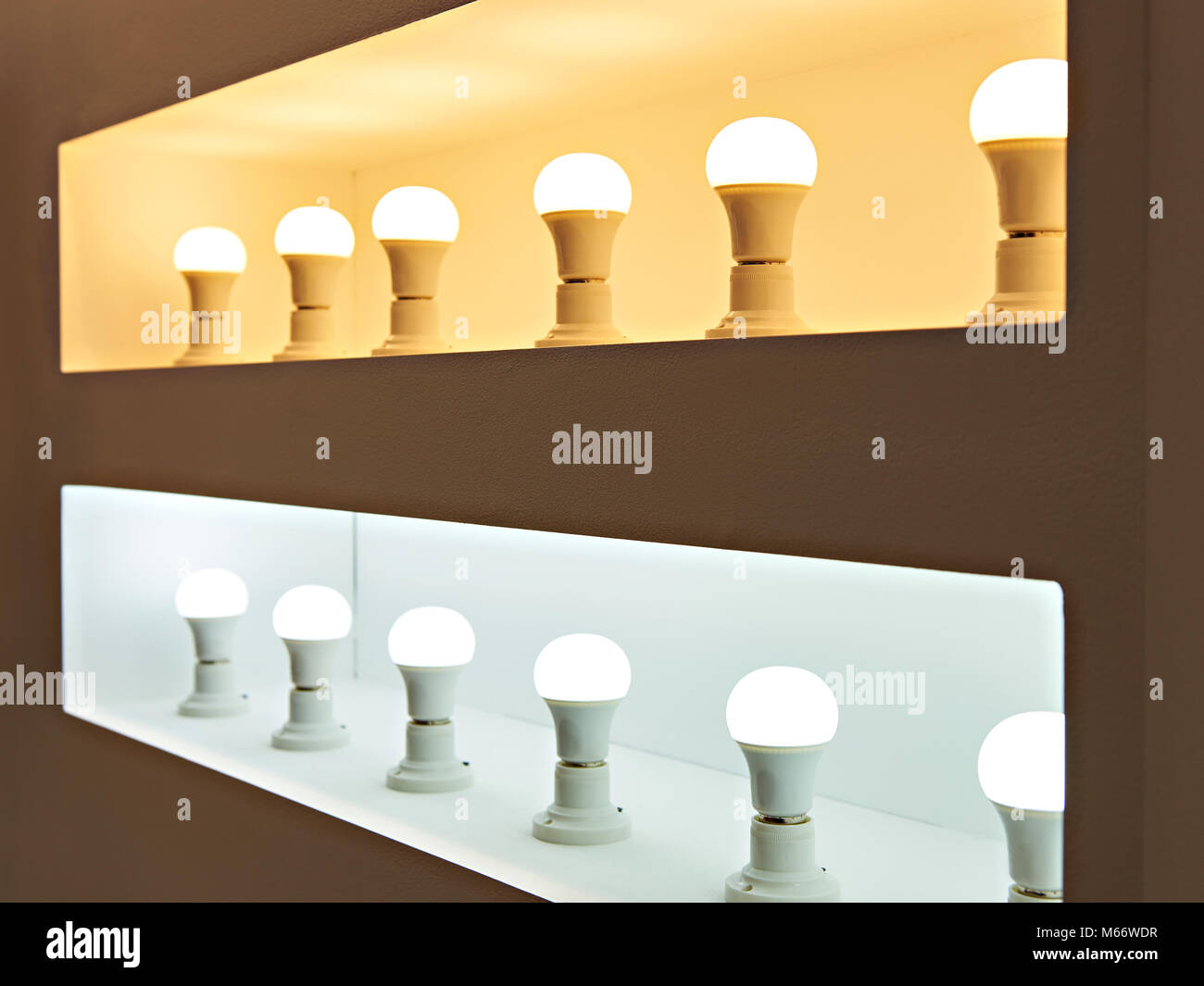 LED lamps for warm and cold light in showcase shop Stock Photo - Alamy