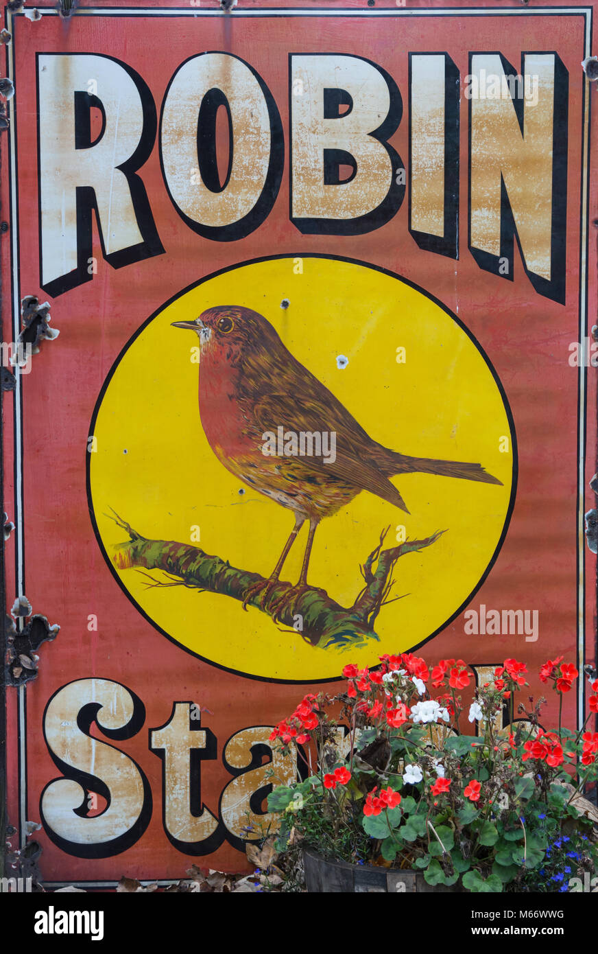 Robin starch hi-res stock photography and images - Alamy