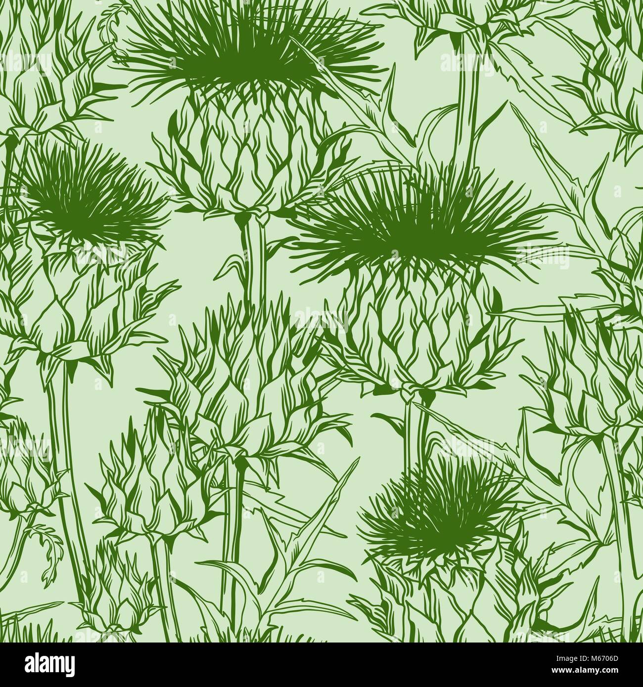 Scottish thistle drawing hi-res stock photography and images - Alamy