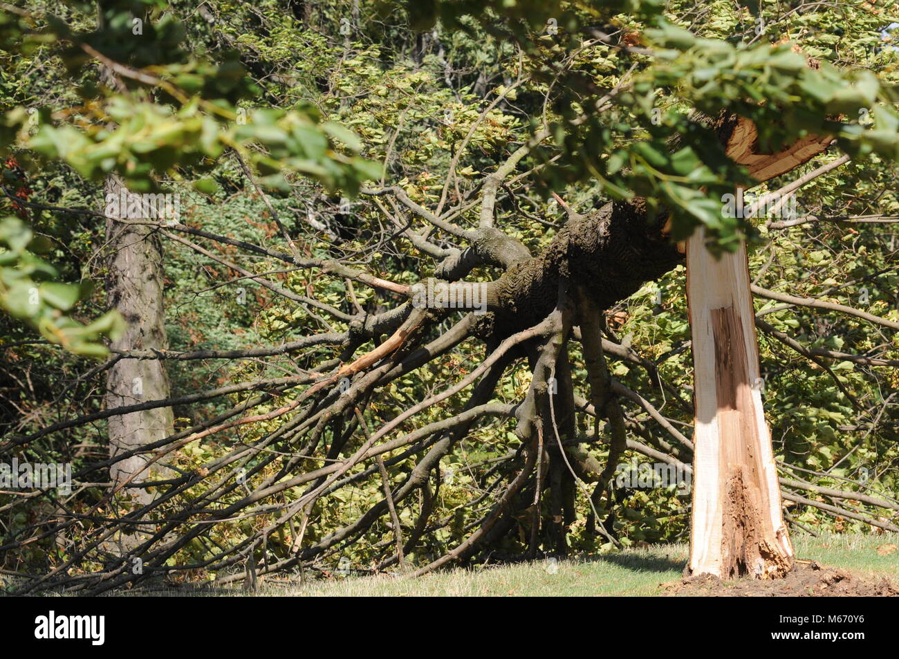 Tempest Wind High Resolution Stock Photography and Images - Alamy